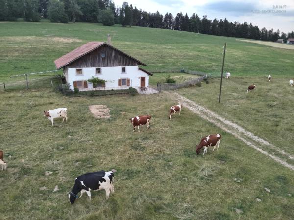 La Ferme De La Gaby - Canton de Jura