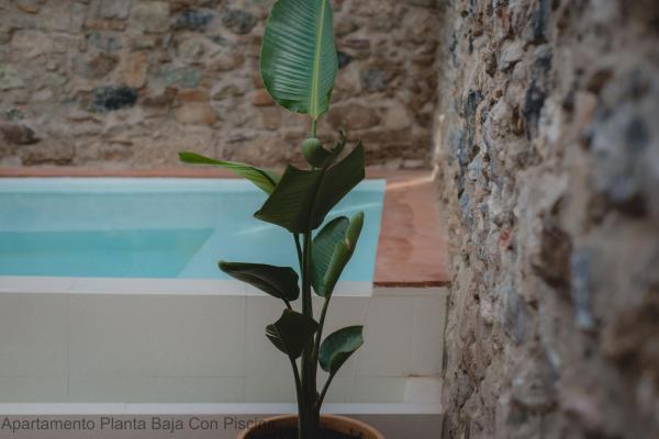 Apartamentos Durán Pizarro 1930 - Merida, Espagne