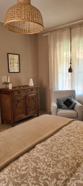 Musa Paradisiaca - Turyn