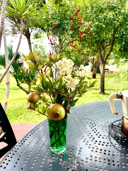 Villetta Relax Con Ampio Giardino Vista Mare - Ricadi