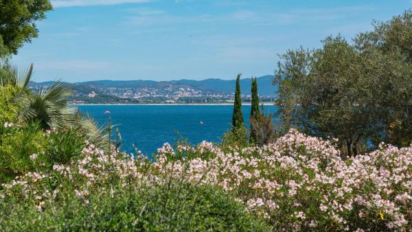 Villa Vue Mer Presqu'ile De Giens Avec Piscine - Porquerolles
