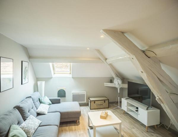 Le Cosy Tannerie - Hypercentre - Climatisé - Aube