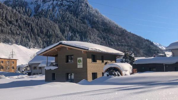 Woodpecker Chalets - Dalaas