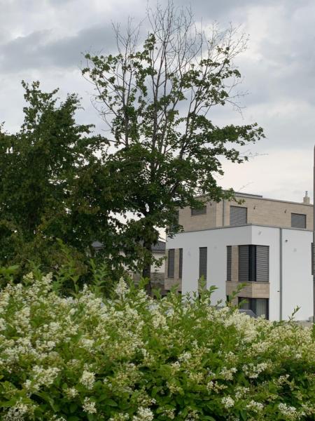 Mosaikhaus Smart Home - Heerlen