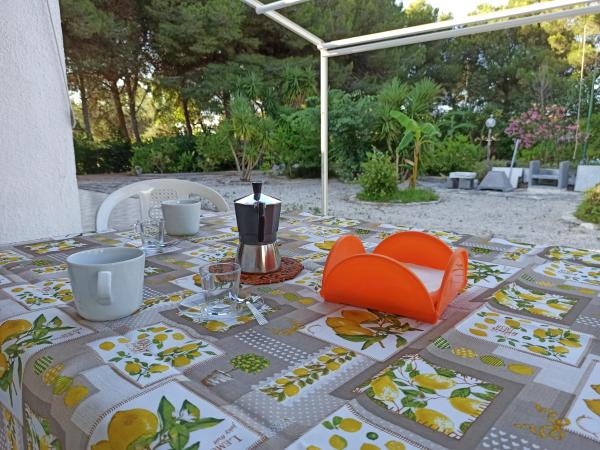 Casa Dei Nonni By Briciole Di Gusto - 3000mq Di Relax In Giardino A 1500m Dal Mare - 萊可仕