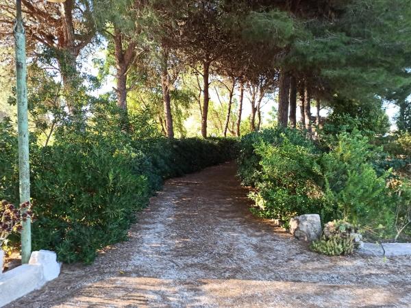 Casa Dei Nonni By Briciole Di Gusto - 3000mq Di Relax In Giardino A 1500m Dal Mare - 레체