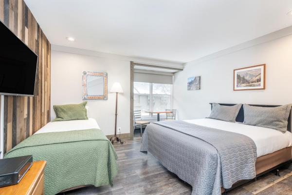 Mountainside Inn 316 By Alpine Lodging Telluride - Silverton, CO