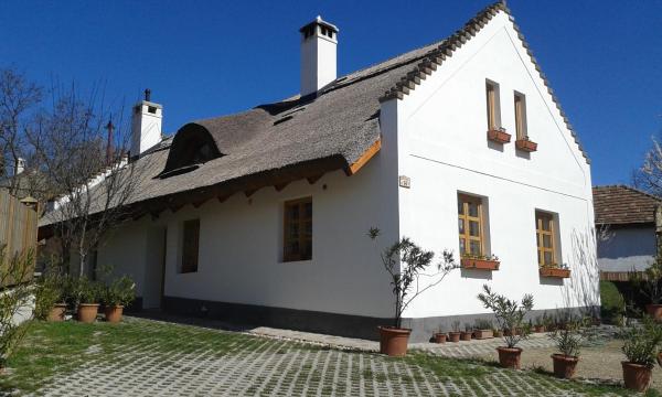 Mézes-kuckó - Tihany