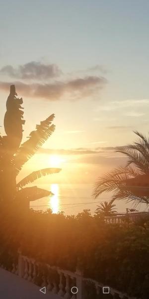 Casa Buganvilla - 特內裡費島