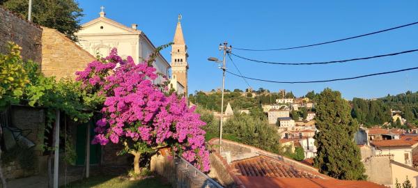 Holiday Home Amazing View - Salvore