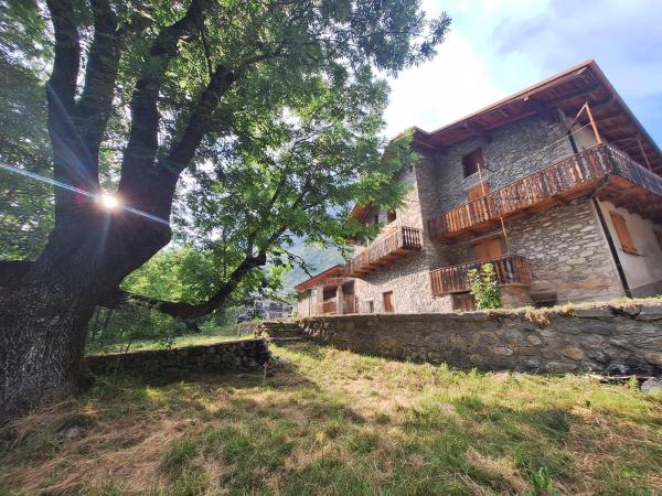 La Casa Del Gigante Frassino - Lac du Lauzanier