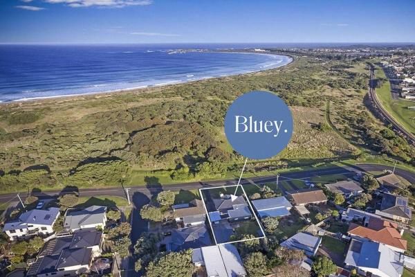 Bluey - Allansford