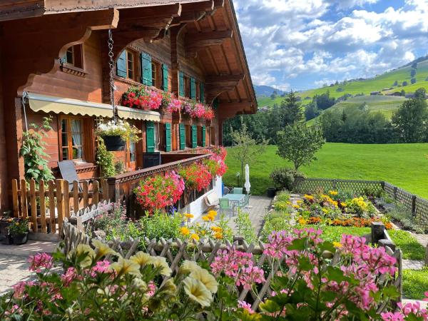 Alpenchalet Spiher Ferienwohnung-studio Und Ein Weiteres Schlafzimmer - Saanen