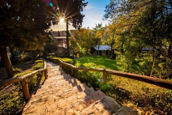 Peace Forest Jerusalem - Cabins & Caravans By City Of David - Distrito de Jerusalén