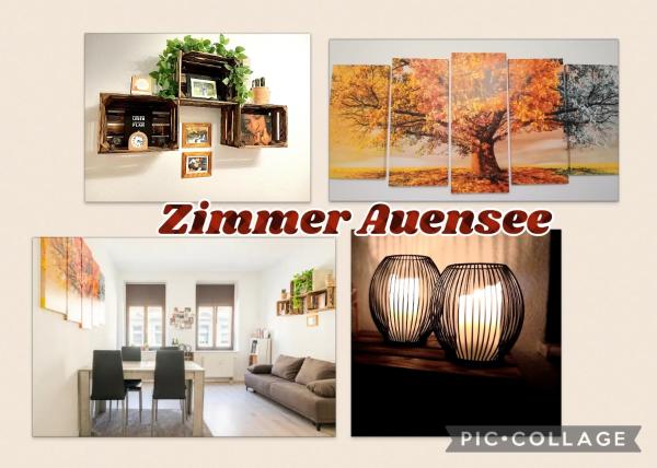 Zimmer Auensee - Leipzig