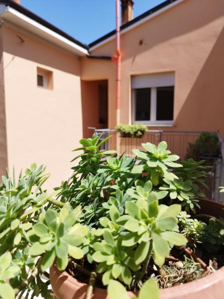 Da Silvana - Provincia di Ferrara