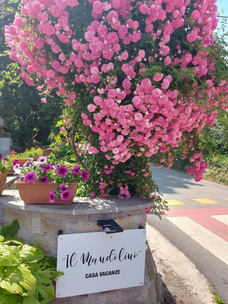 Casa Vacanze Il Mandolino Tra Orvieto E Bolsena - Bolsena