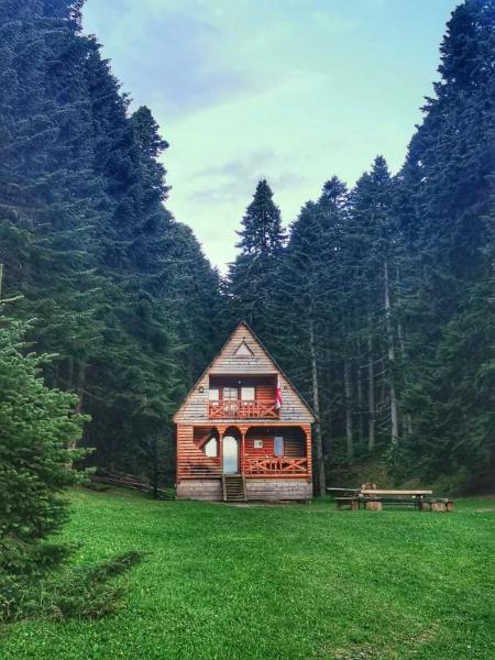 Cottage Sochi - Georgia