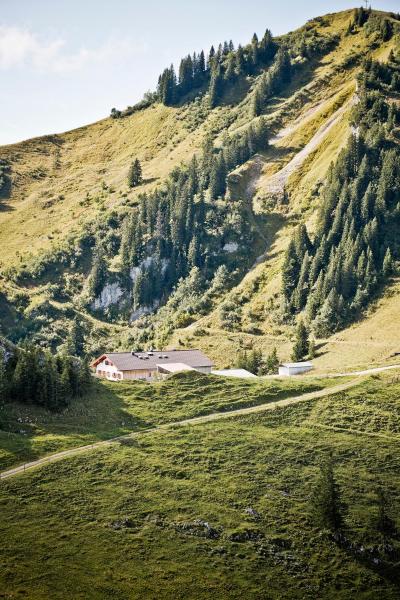 Berghotel Altes Wallberghaus - Tegernsee