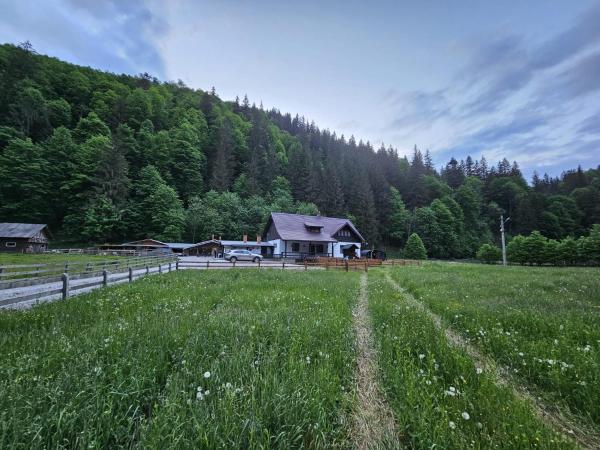 Casa Andreea - Borca