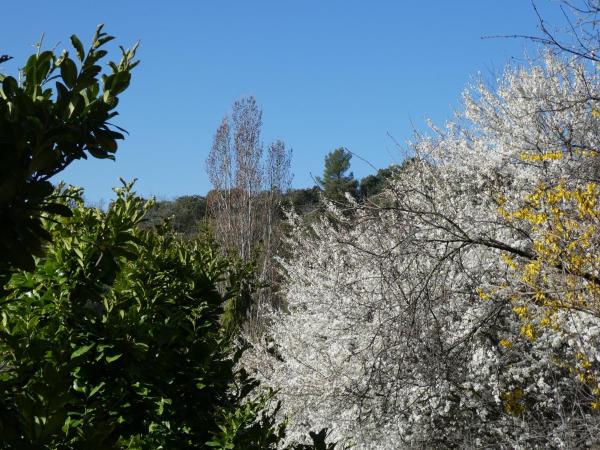 Dom L' Argo - Forcalquier