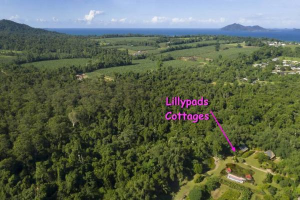 Lillypads Red Cottage - Rainforest Tranquility - ミッション・ビーチ