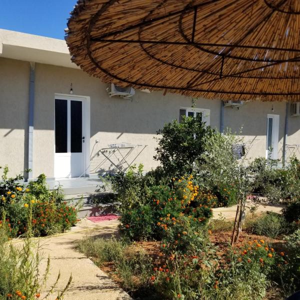 Rey Garden 2 - Vlora