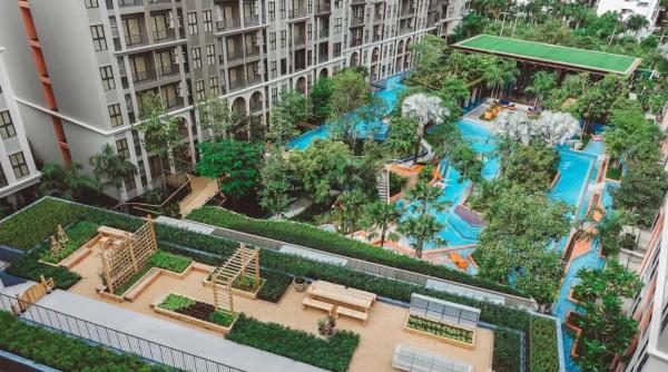 La Habana Hua Hin - Hua Hin