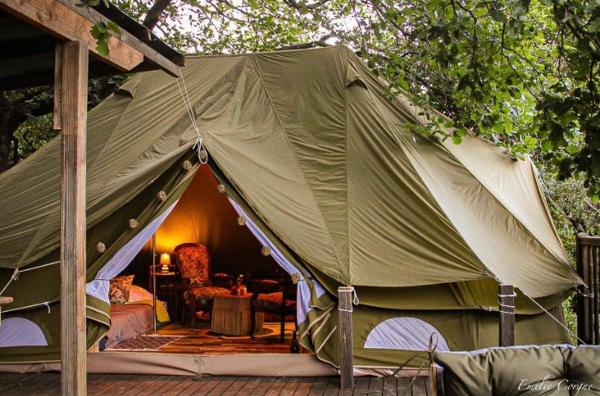 Tente Herisson Boheme 4 Personnes Camping Lou Cantou Cévenol - Mialet