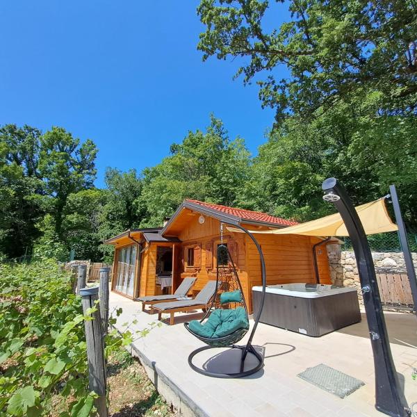 Vineyard House - Selce