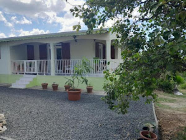 Akaixora -Ixora - Guadeloupe