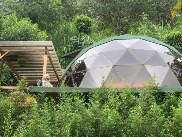 Magic Elf Glamping - Mindo Valley
