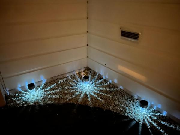 Evasion Conviviale - Saint-Pierre