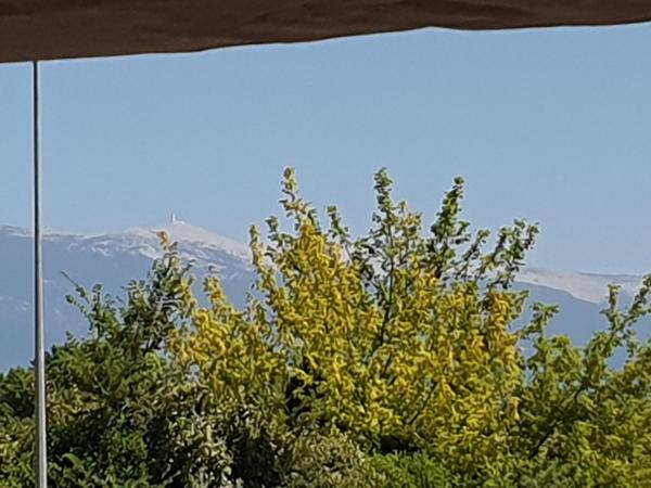Pura Vida - Gordes
