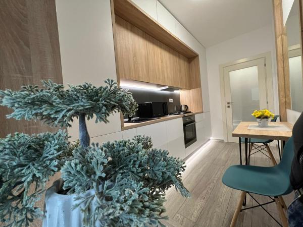 Perfect Host Palas Studio Central - Iași