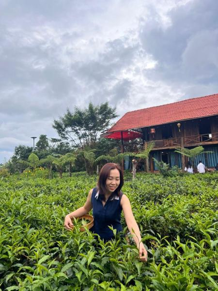 Tea Garden House - Bảo Lộc
