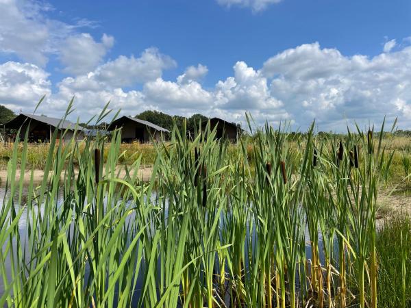 Vorenseinde-tente Safari 4 P. Sanitaires - Hoogstraten