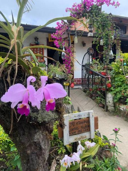 Casa Tr3bol Hospedaje En Venecia - San Bernardo, Colombia