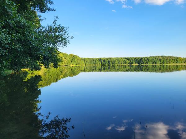 Ferienhaus Am Schlenken Lychen Uckermark - Lychen