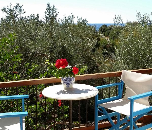 Olive Tree Cottages - Paleochora
