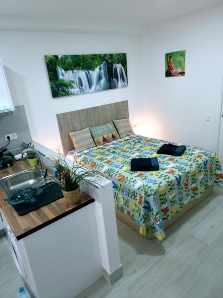 Apartamentos Zanca City Center Free Luggage Storage - 馬拉加