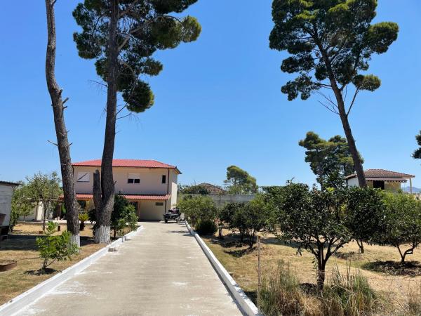 Pine House 2023 - Albania