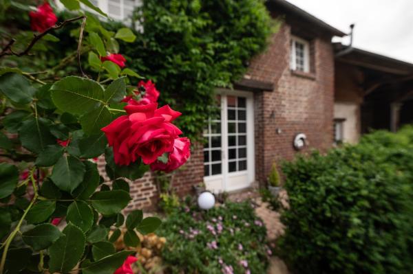 Gîte Cosy Green - Compiègne