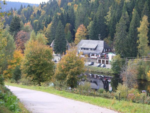 Landgasthof Klosterweiherhof, (Dachsberg), Doppelzimmer Mit Dusche Und Wc - Sankt Blasien