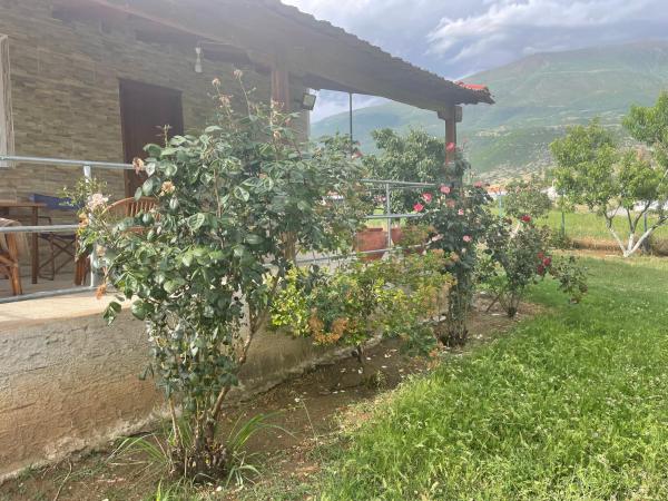 Villa Olympus - Macedonia del Nord