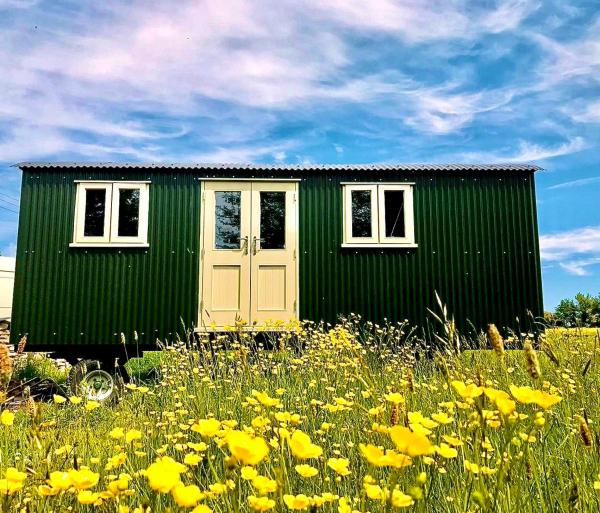 The Old Post Office - Luxurious Shepherds Hut 'Far From The Madding Crowd' Based In Rural Dorset. - Wiltshire
