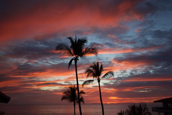 Casa De Emdeko 315 - Magic Sands Beach Park