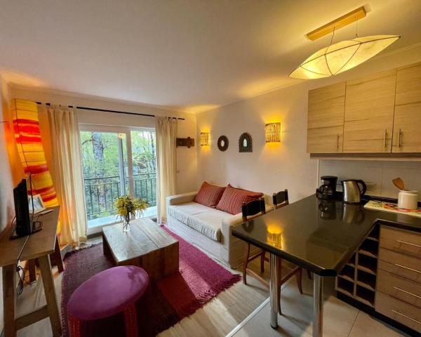 Departamento Boutique En Entorno Nativo. - Pucon