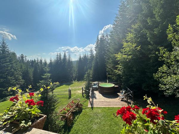 Leśna Bacówka - Pologne