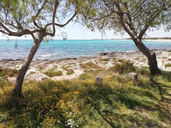 Punta Grossa - Porto Cesareo - Punta Prosciutto